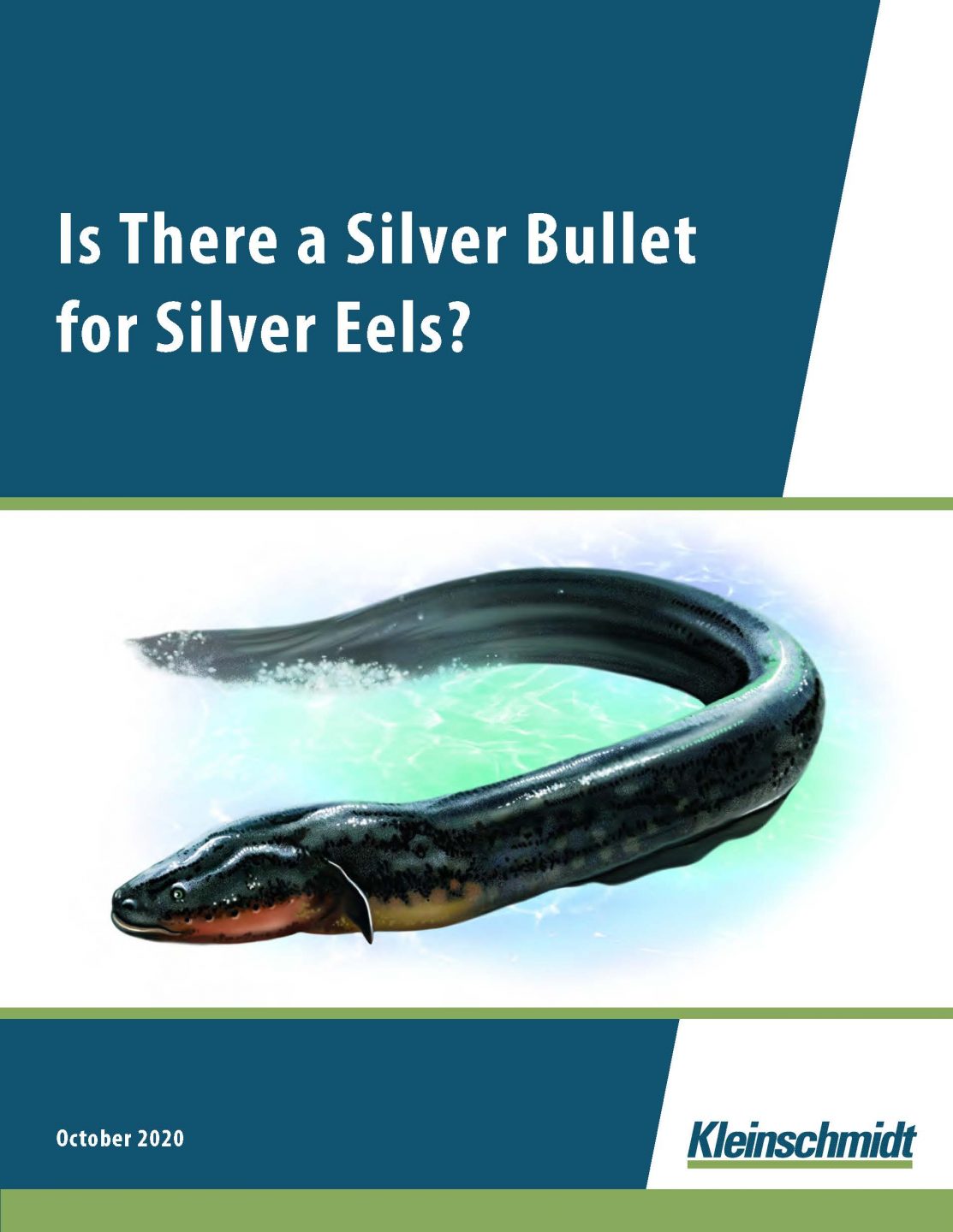 Is There a Silver Bullet for Silver Eels? – Kleinschmidt Group Canada